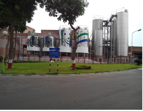 Amul Factory Inside